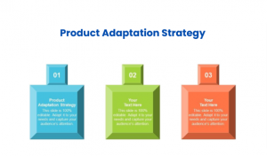 Adaptation Strategy For Products: A Complete Guide